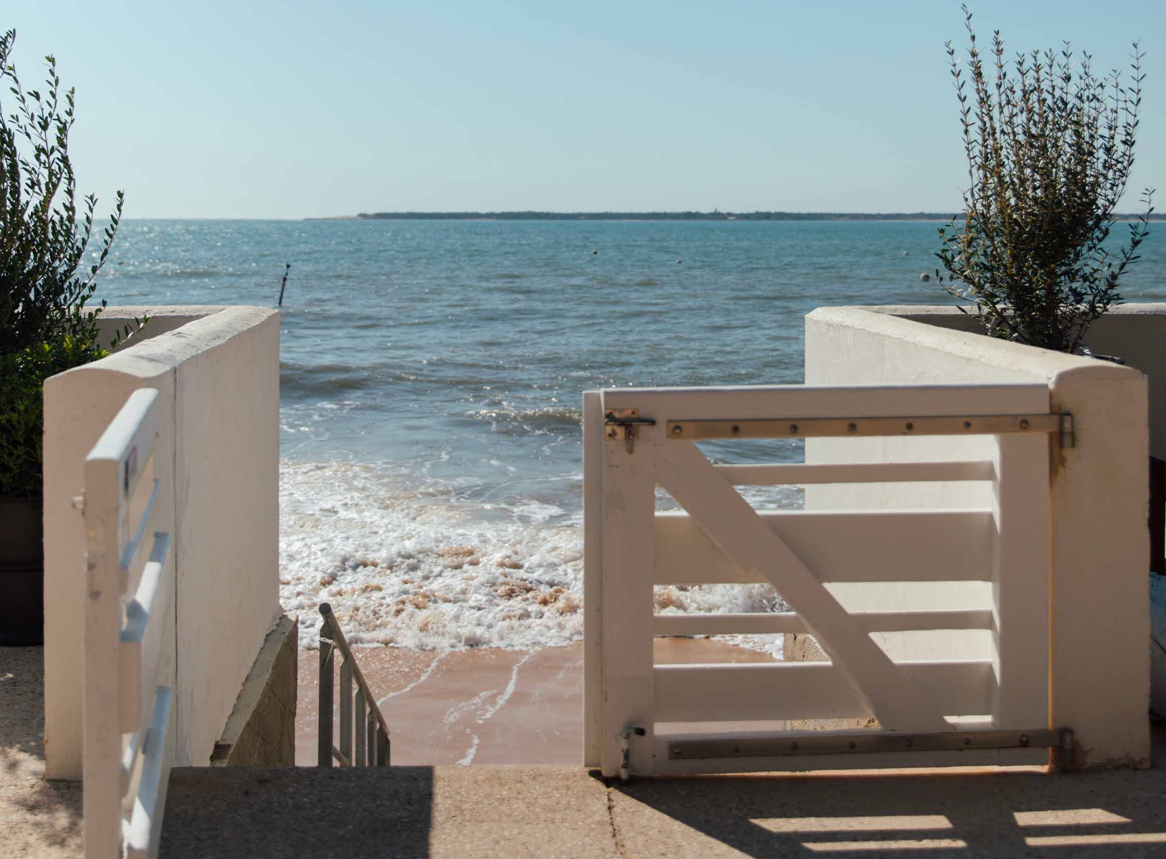 Cap Ferret: a Le Collectionist Guide
