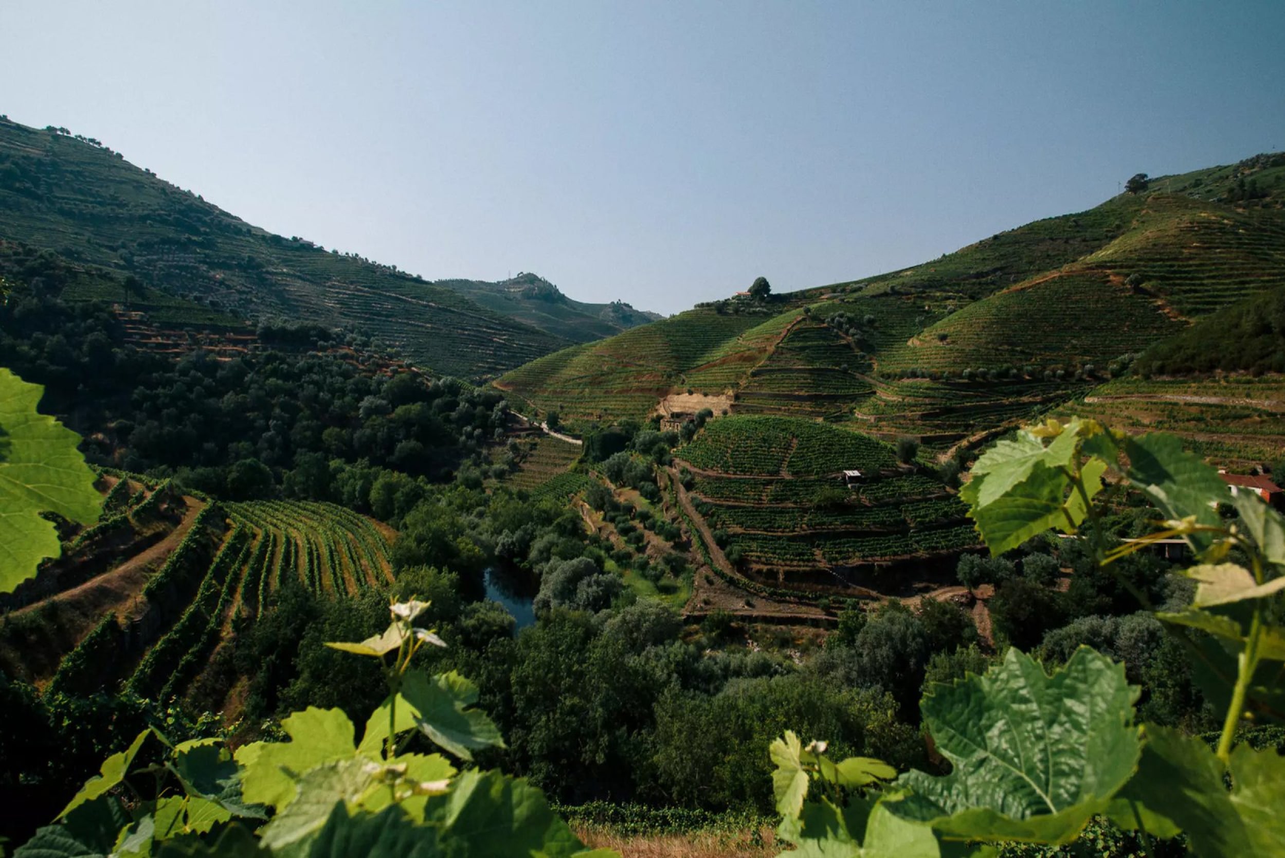 Visit the Douro Valley: Le Collectionist's complete guide