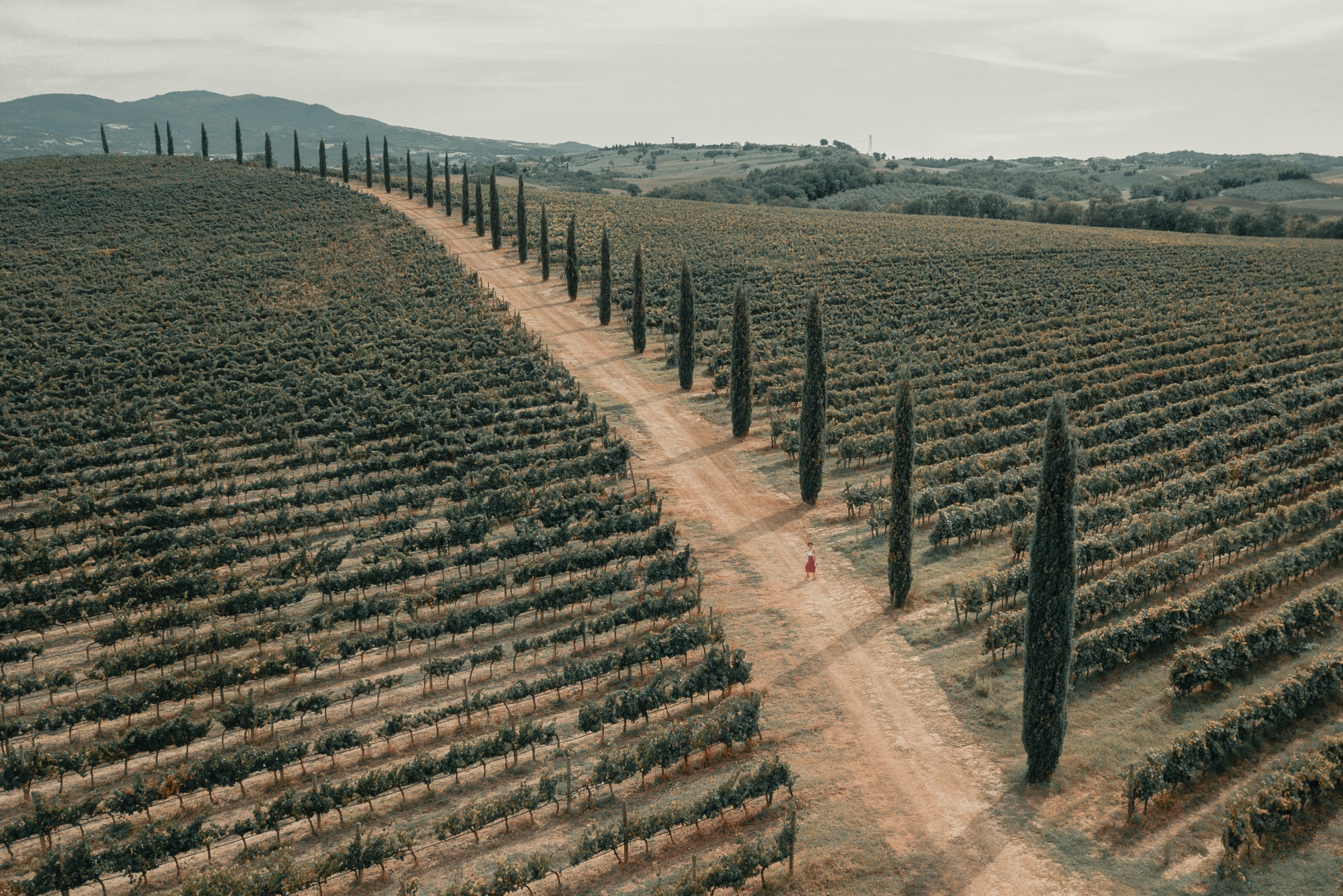 Luxury agritourism in Italy: Our guide to your best farm stay in Italy