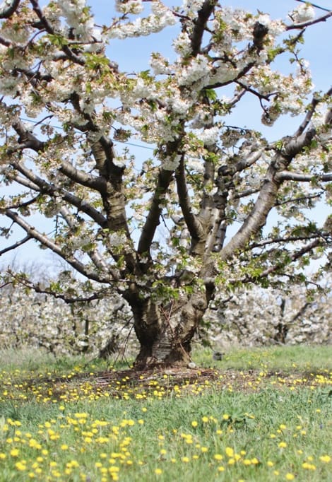 Our list of the best things to do in Provence's finest destinations